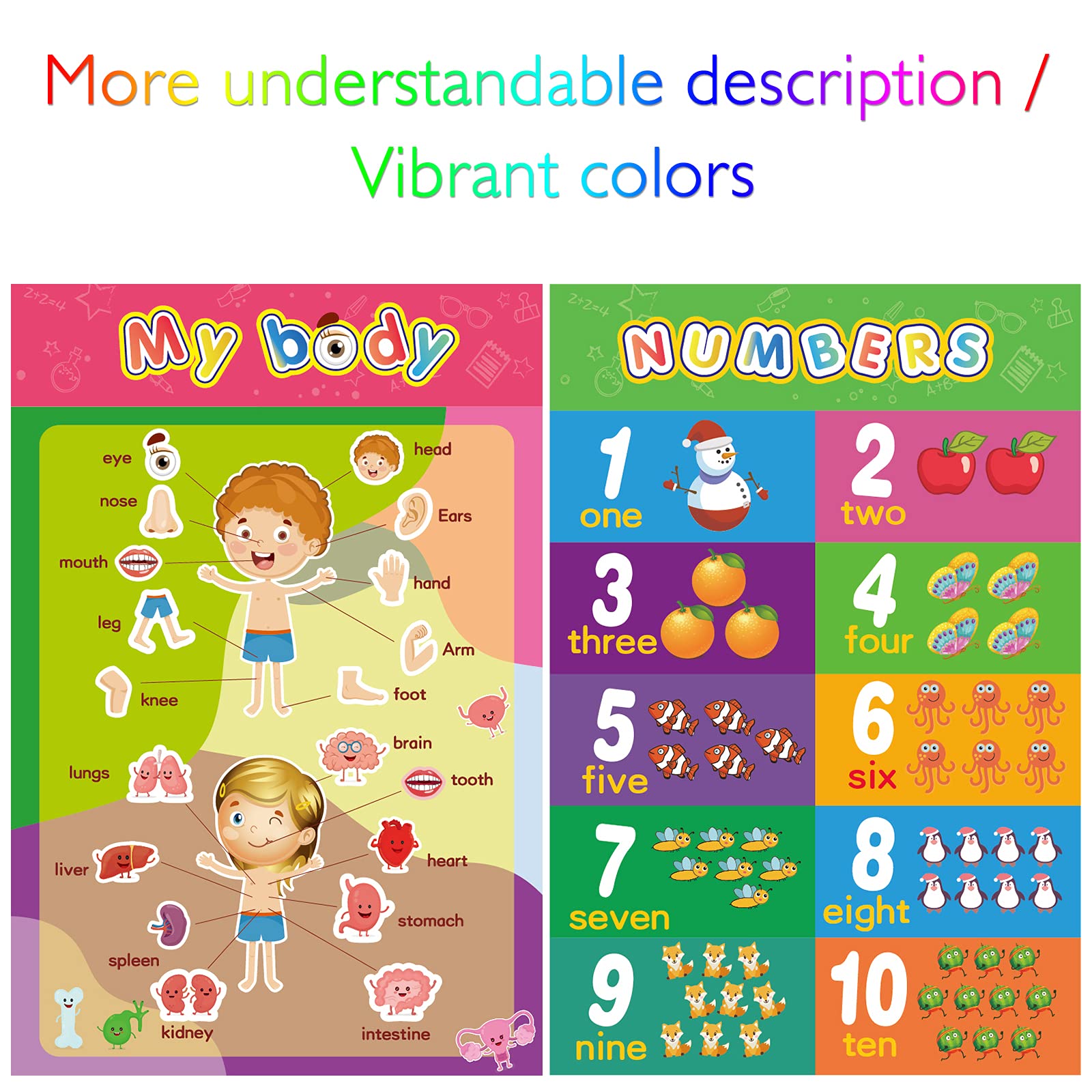 Choclaif Educational Posters for Kindergarten, Elementary School. Classroom Posters with Glue Point Dot for Classroom Decor, Preschool Learning Activities, and Homeschool Supplies(14PCS)