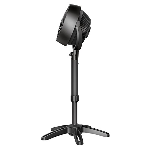 Vornado 683 Medium Pedestal Whole Room Air Circulator Fan, 3 Speed Control, Adjustable Standing Height, 32 to 38 Inches, Black