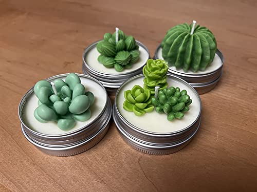Navani Succulent Silicone Mold, Cactus Resin Mold, Candle Mold Silicone for DIY Handmade Soap, Candle, Cake Decoration - 9 Pcs