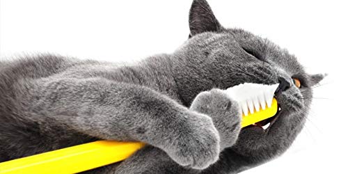 I LOVE MY PETS LLC cat Bad Breath - CAT Teeth Health Complex - Advanced Care Formula - cat Vitamin d - 180 Treats (3 Bottles)