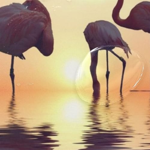 BLuevi Sunset Flamingos Shower Curtain for Bathroom Waterproof Fabric with Hooks 72x72 Inch