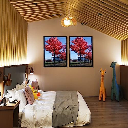 Medog 11 by 17 Picture Frame without Mat to Display picture 11x17 Wall Mounting Document Certificate Frames If Add Mat Can As 11x14 10x14 9x15 10x12 Picture Frame 11x17