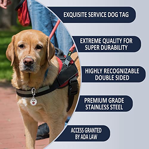 Leash King 1.25" Double-Sided ESA Dog Tag with 1.3" Solid Quick Clip– Easily Attach to Collar, Harness, Vest – Entirely Surgical Stainless Steel – PVD Gold