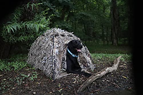 North Mountain Gear Popup Dog Blind - Wetland Camouflage