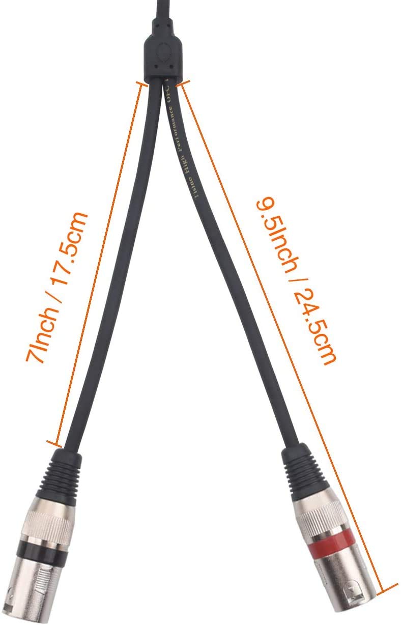 Senor Cable 3.5mm to Dual XLR Stereo Cable 1/8 inch Mini Jack to 2 XLR Male Y Splitter Adapter Cord - (10) Feet