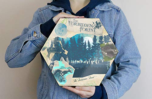 Harry Potter – Forbidden Forest – Watercolor Collage - 11.5” X 10” Hexagon Shaped KNEXAGON Wood Print – Hang Alone or Connect to Other Pieces – Officially Licensed Merchandise