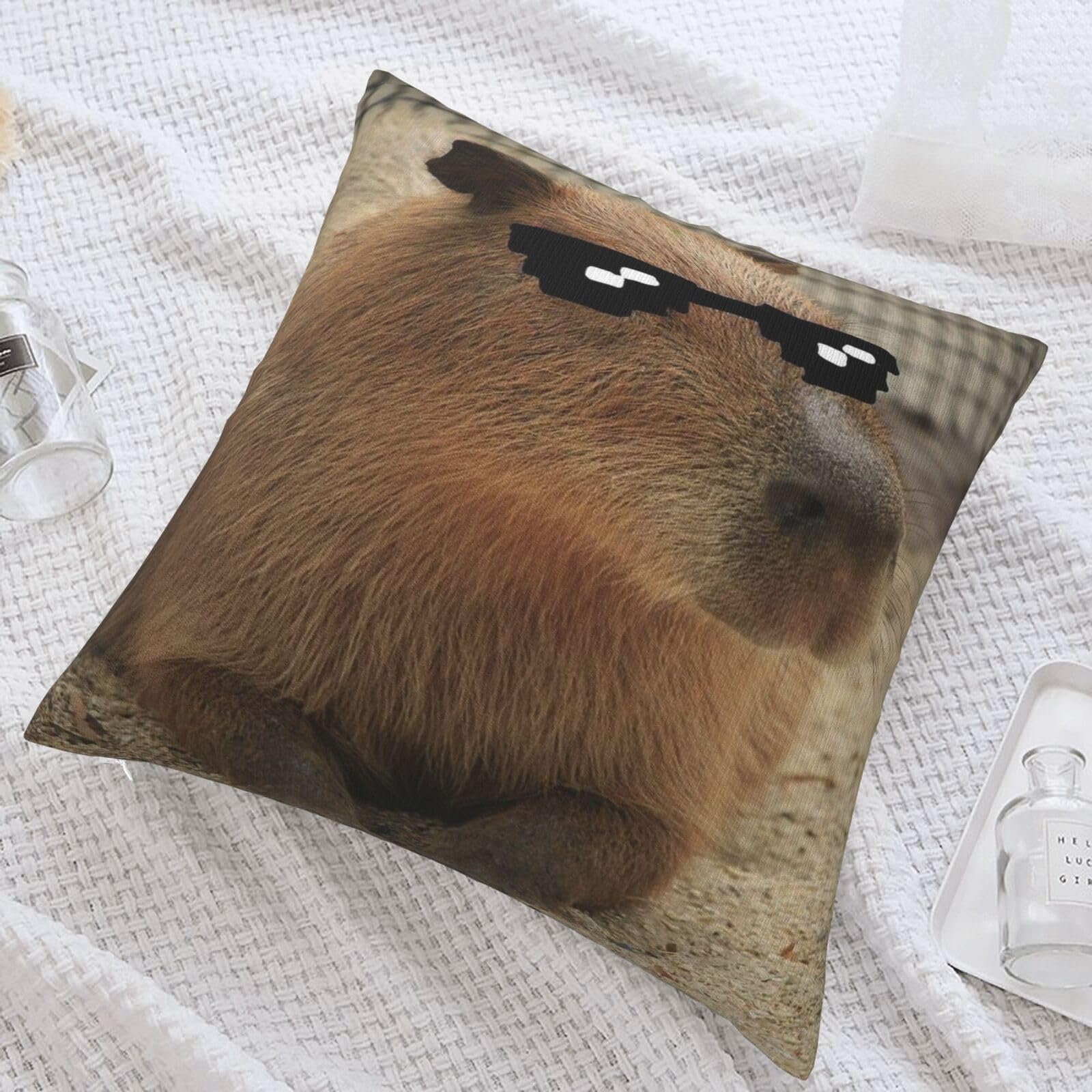 Funny Capybara Funny Meme Animal Throw Pillow Covers Novelty Square Pillow case Home Decorative Bedroom Couch Sofa Cushion case 18x18 in