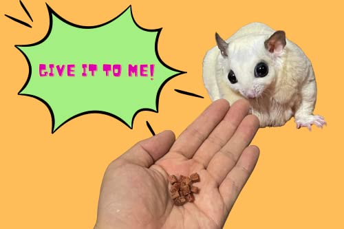 PETIVORE Premium Kobe Steak for Sugar Glider and Small Exotic Pet (Hamster, Squirrel, Chinchillas, Marmoset) Happy Treats, Snacks and Food (50g)