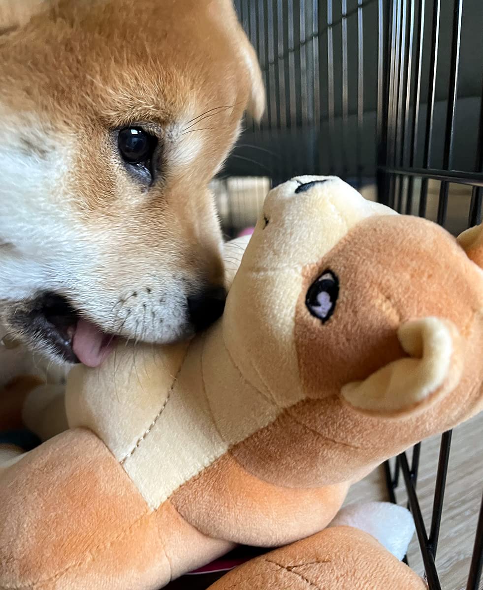 Youtooz Swole Doge Plushie, 12" Buff Doge Plush, Cute Plush Toys Meme Collection Based on Famous Internet Memes