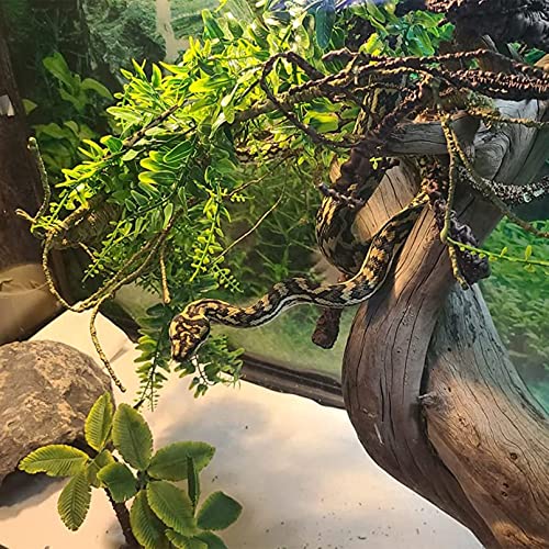 kathson Reptile Plants,Bendable Jungle Vines,Flexible Hanging Plant Habitat Decoration Tank Accessories for Bearded Dragon Chameleon Lizards Gecko Tree Frog (3 PCS)