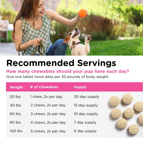 Nutri-Vet Allerg-Eze Chewables for Dogs - Formulated Antioxidants and Omega-3 Acids - Supports Respiratory and Skin Health - 60 Chewables