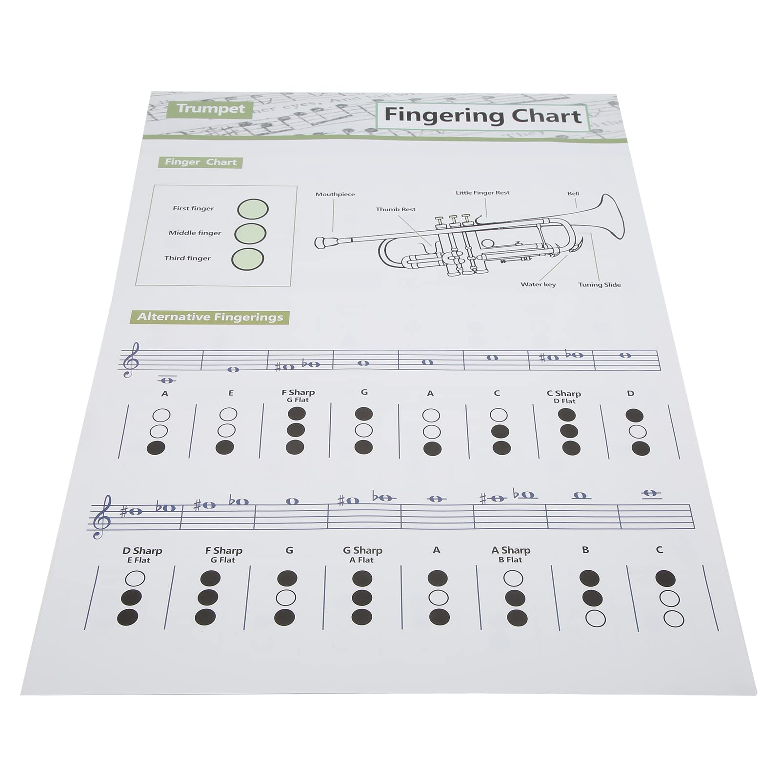 Trumpet Chord Chart Chords Reference Poster Scales Reference Fingering Practice Chart(Trumpet Chord Chart (Large Size))