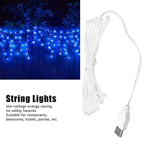 USB Fairy String Lights, 5 Meters/16.4 Feet LED Light String Fairy Lights for Bedroom for Wedding Party Home Garden for Outdoor Indoor Wall Decorations