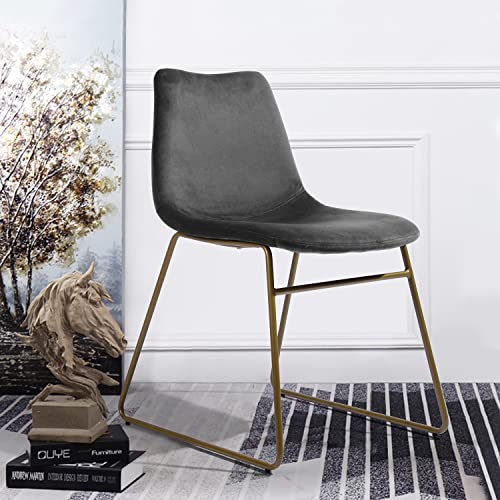 FurnitureR, Velvet Fabric Upholstered Seat Kitchen Room Set of 2, Mid Century Modern Backrest,Gold Metal Legs Dining Chair, Grey