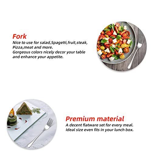 Silver Salad Forks Set of 12 pieces,Stainless Steel Flatware Forks 6.8 inch,Mirror Polish Small Utensils, New Kitchen Essentials Cutlery Set Dishwasher Safe
