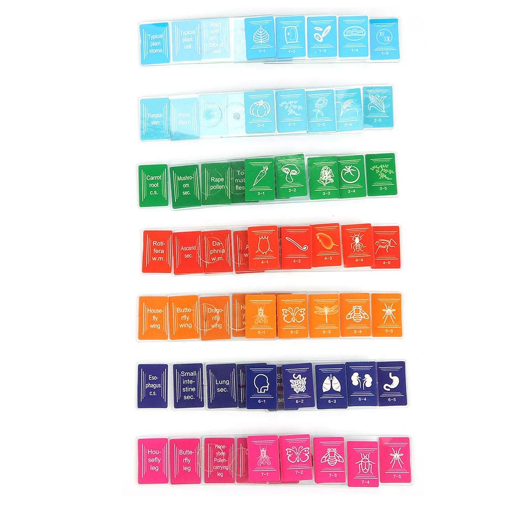 Hilitand 35pcs Biology Microscope Slide Glass Biological Prepared Slide Seven Type Biology Slide Lab Specimens Set