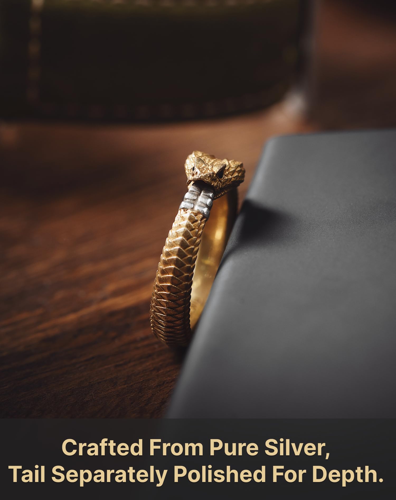 COPPERTIST.WU Ouroboros Ring Brass Snake Serpent Rings Aesthetic Jewelry Gift for Men Women (10.5)