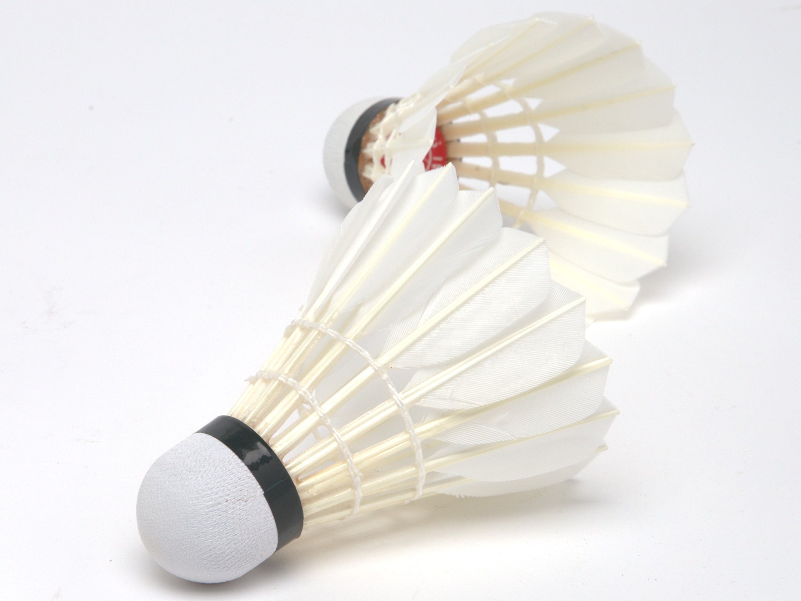 CHAOPAI Red 77 Goose Feather Badminton Shuttlecocks 2 doz