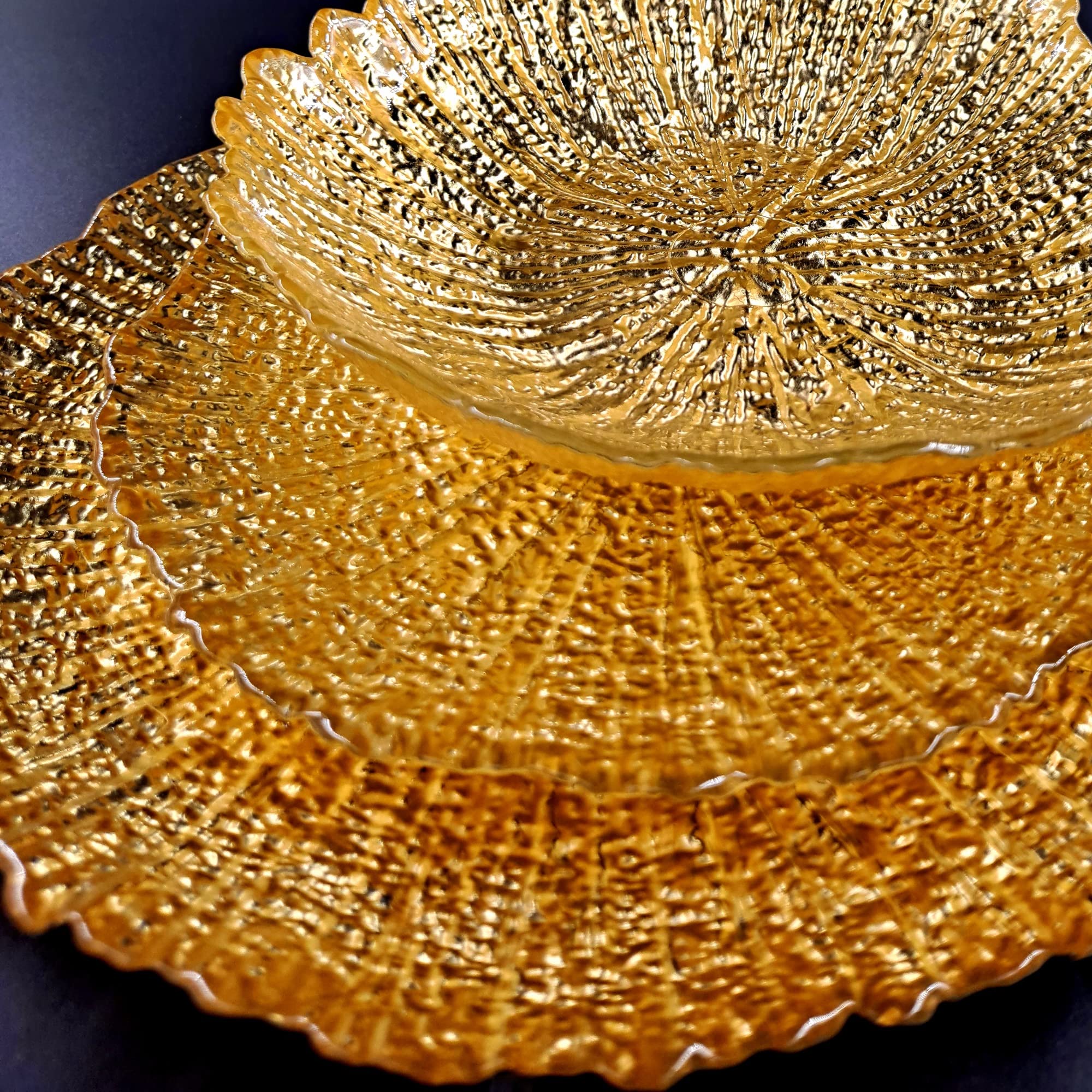 CORAL 12PCS Dinner Plate Set Gold