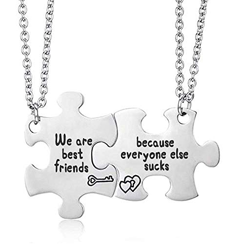 MJartoria Best Friend Necklaces, Friendship Necklace Puzzle Piece Necklaces Set Gifts for Women Teens BFF Necklace for 2 (we are best friend because everyone else ...)