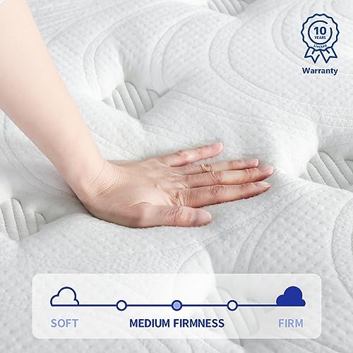 Olee Sleep 10 inch Omega Hybrid Gel Infused Memory Foam and Pocket Spring Mattress (Twin)
