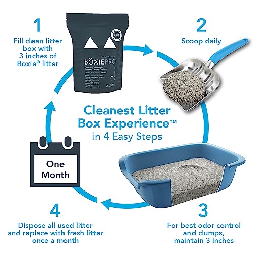 Boxie® Probiotic 40 Day Natural Odor Control Cat Litter, 16lb Clumping Clay Kitty Litter
