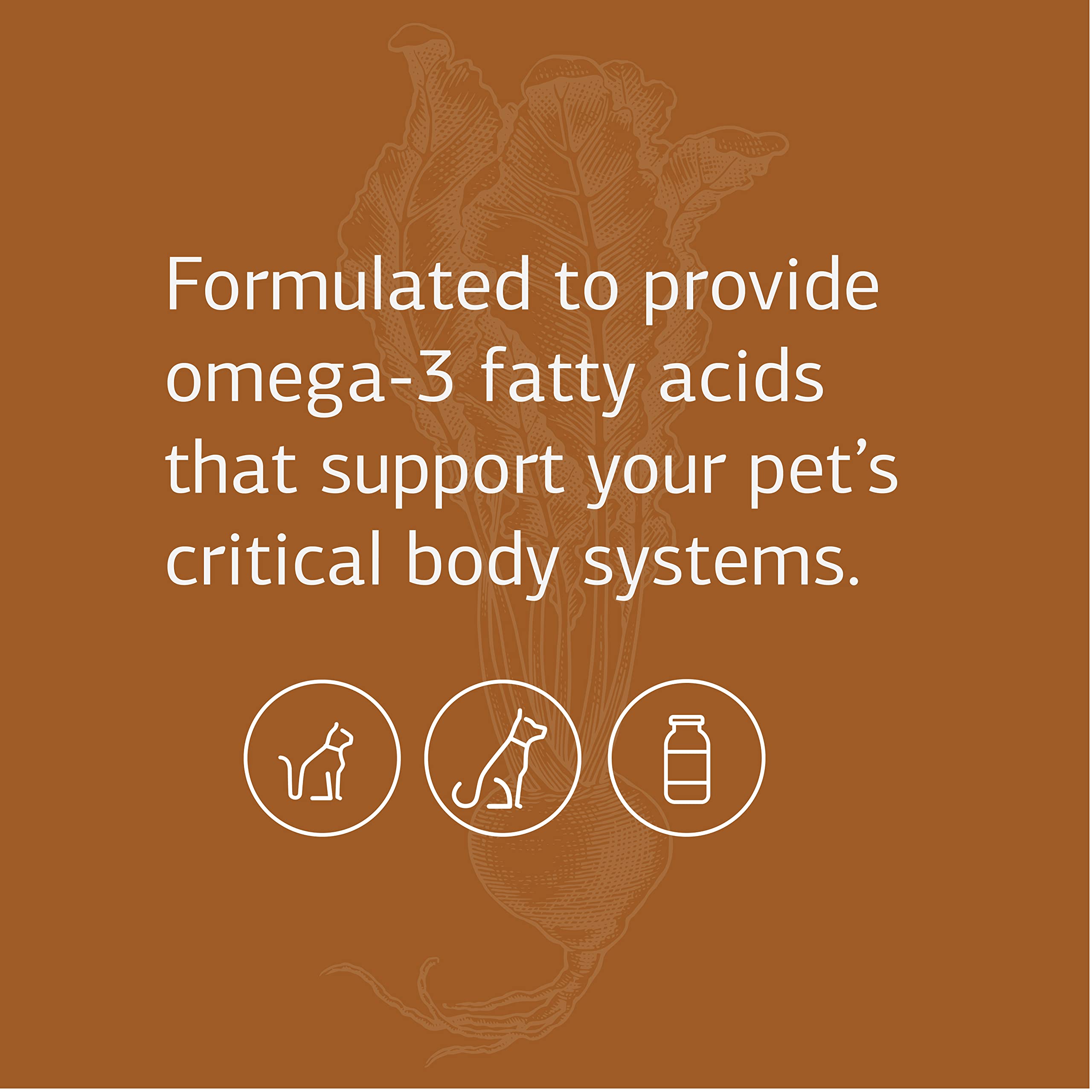 Standard Process VF Omega-3 for Pets - Dietary Supplement with Omega-3 Fatty Acids - Support Bone Growth, Immune Health, Heart Health & More - Fish Oil Supplement for Pets - 90 Softgels