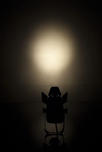 CHAUVET DJ Eve TF20 (EVETF20)