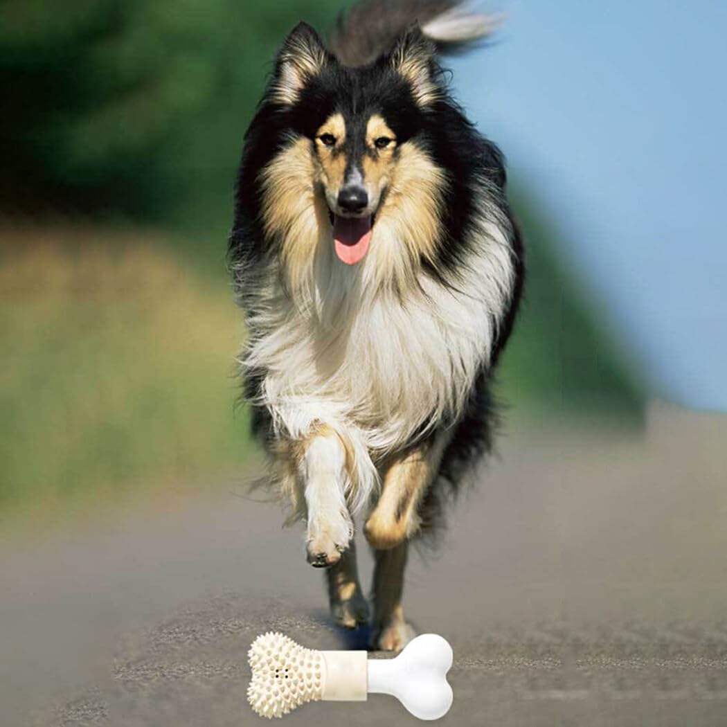 Kapmore Biting Training Toy Bone - Puppy Interactive Chew Reusable Funny for Teeth Cleaning Shape Small Medium Toy