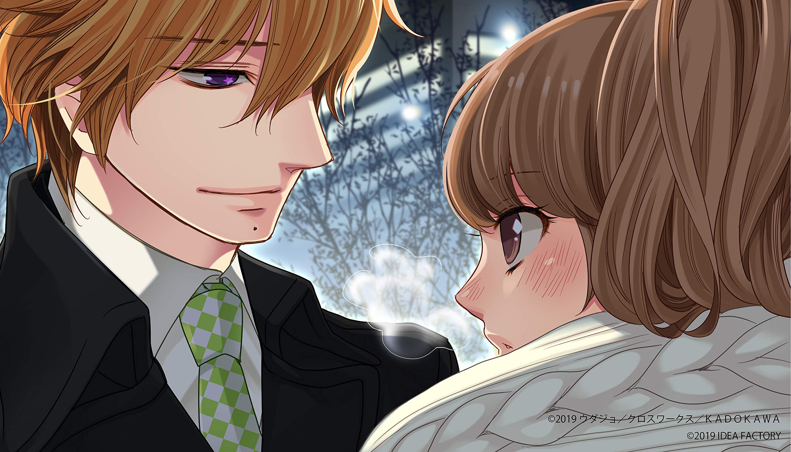 BROTHERS CONFLICT Precious Baby for Nintendo Switch 予約特典(小冊子) 付 (Non-US Version)