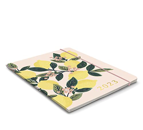 Orange Circle Studio Just Right 2022-2023 Monthly Planner - 17-Month Organizer with Full-Color Monthly Views, Storage Pocket & Elastic Closure - Lemon Tree