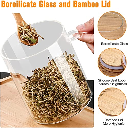 Hwawhin 4 Pack Airtight Glass Jars with Bamboo Lid & Spoons, 19 OZ Glass Food Storage Jars Borosilicate Glass Canisters for Coffee Bean, Sugar, Storage, Dry Goods, Cookie, Candy, Tea, Spices and More