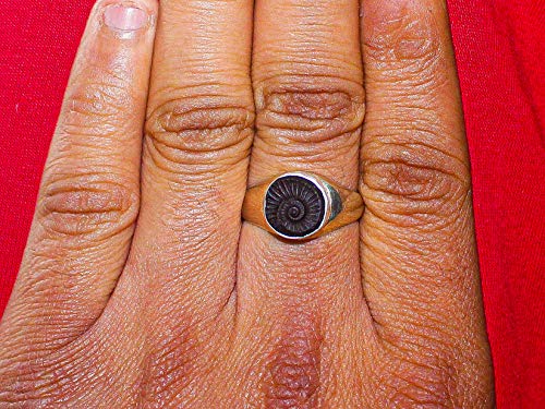 GangTarang Shaligram Silver Ring | Nepal Gandaki River Chakra Saligram (Shaligram Ring; Size-16)