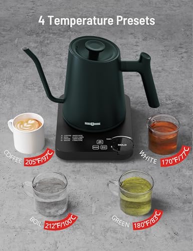Gooseneck Electric Kettle, Paris Rhône Electric Kettle with 4 Variable Presets, ±1℉ Temperature Control & LED Real-time Temperature Display, Stainless Steel Inner, 24H Keep Warm for Coffee, Tea, 0.9L