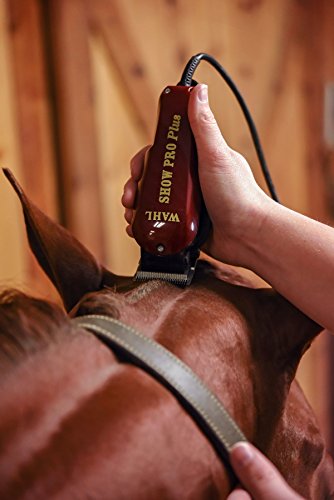 WAHL Professional Animal Show Pro Plus Equine Horse Clipper and Grooming Kit (9482-700)