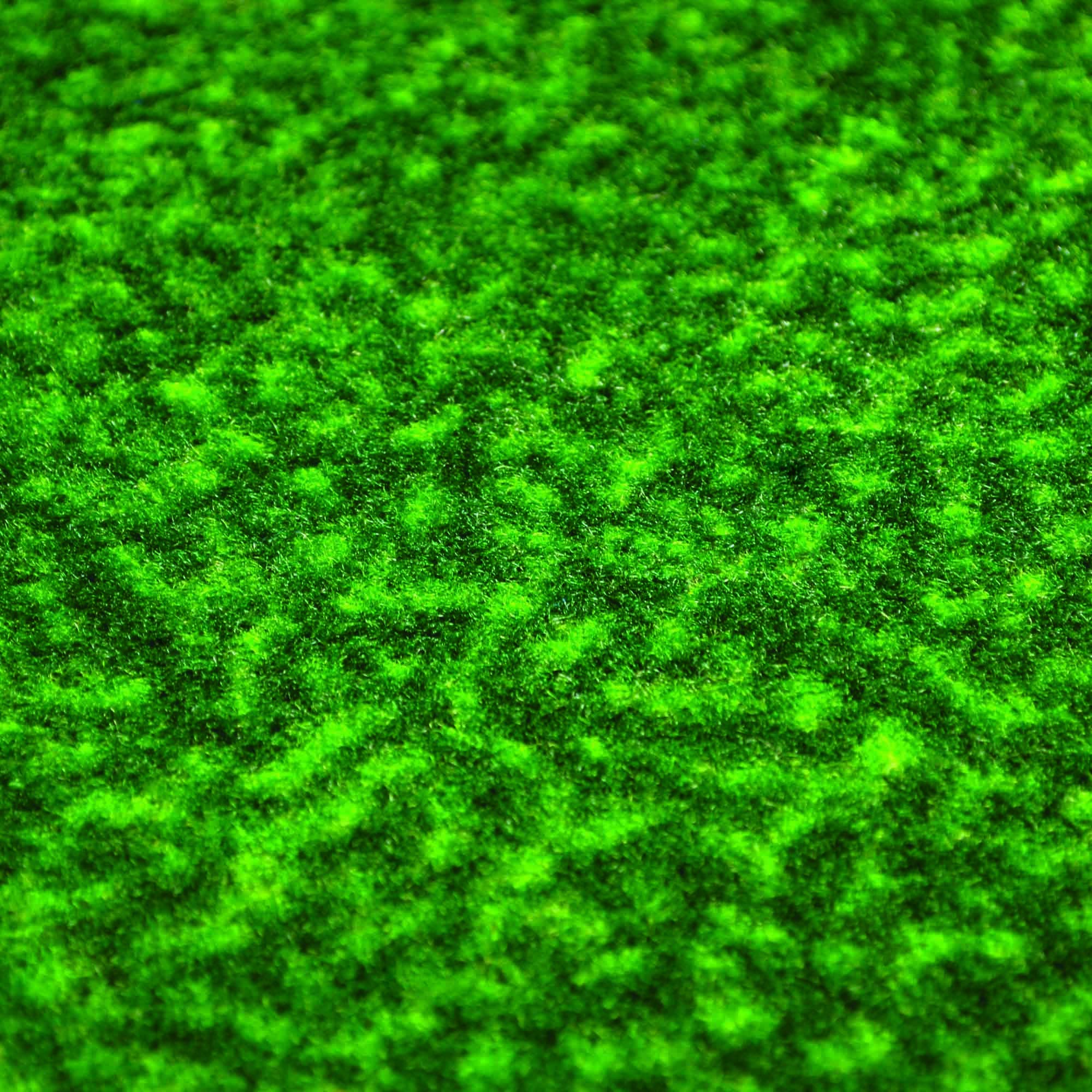 FANMATS NFL - Kansas City Chiefs Super Bowl LVIII Red Putting Green Mat - 1.5ft. x 6ft.