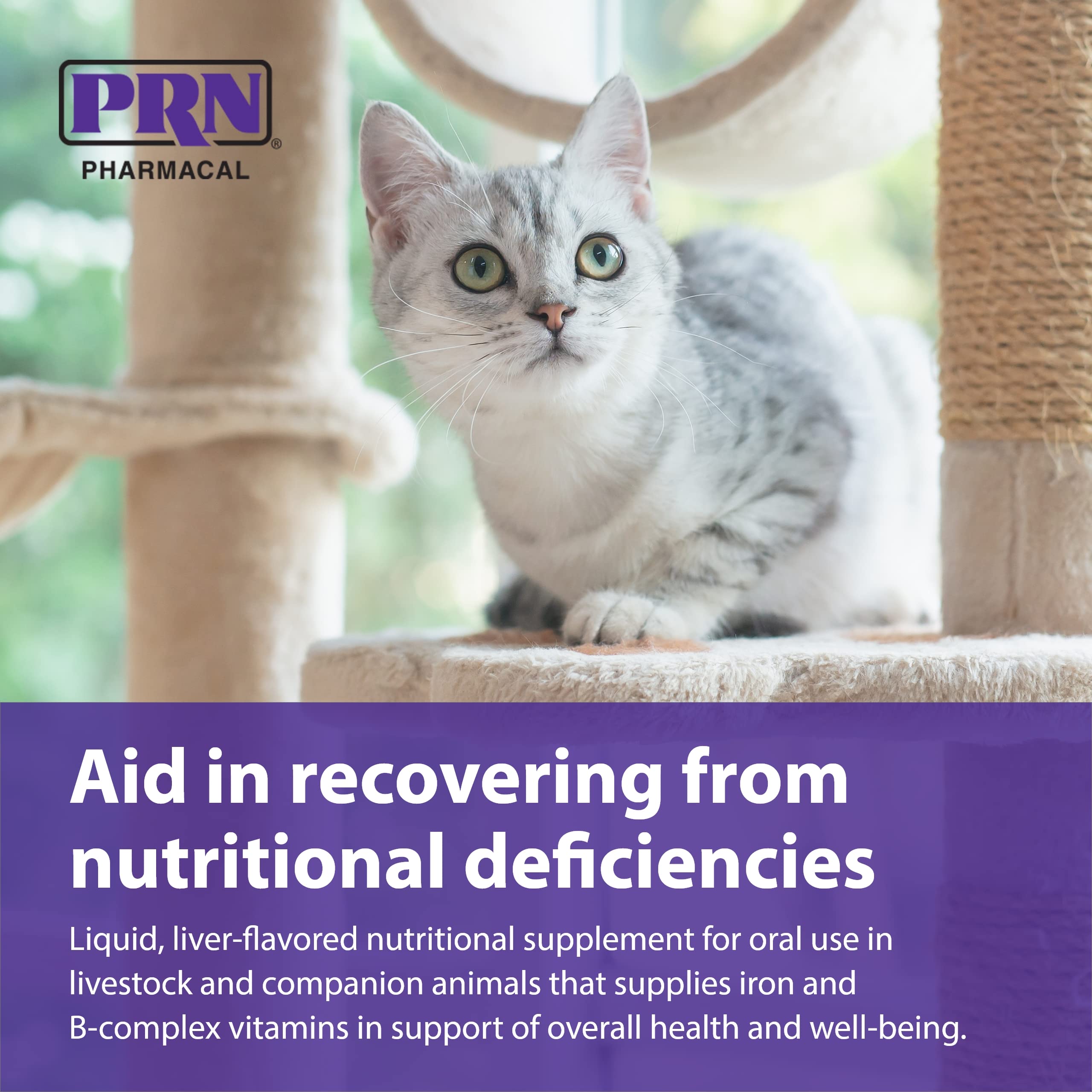 PRN Pharmacal Liqui-Tinic 4X - Iron & Vitamins Oral Nutritional Supplement for Pets- Liver-Flavored Supplement with Iron & B-Complex Vitamins to Support Wellness - 2 fl oz (3 Pack)