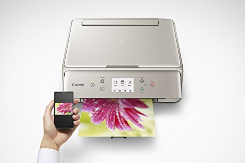 Canon Office Products PIXMA TS6020 GY Wireless Color Photo Printer with Scanner & Copier, Gray, Works for Alexa