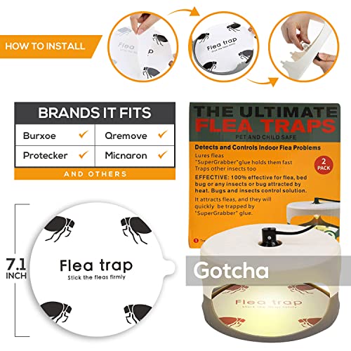 Gotcha! 12 Pack Flea Trap Refill Discs | Sticky Traps Glue Board Refills | Non-Toxic | 7.1 Inch | Eco-Friendly | Family and Pet Safe | Fits Ultimate Flea Trap Aspectek Qremove Victor