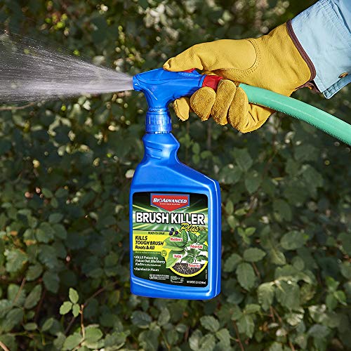 BioAdvanced Brush Killer Plus, Ready-to-Spray, 32 oz β Kills Tough Brush Roots & All, Kills Poison Ivy