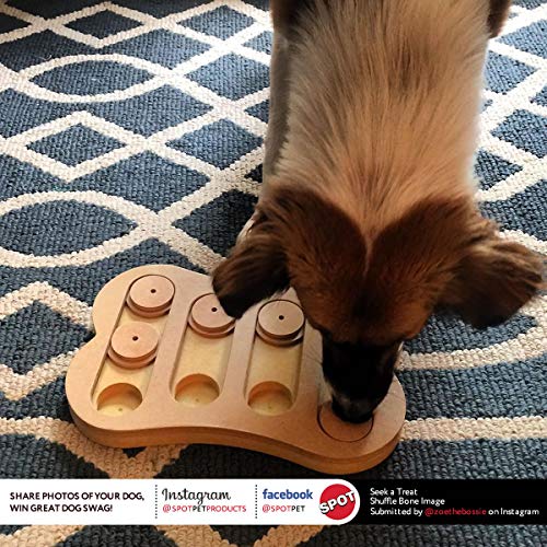 SPOT Ethical Pet Interactive Seek-A-Treat Shuffle Bone Toy Puzzle That Will Improve Your Dog's IQ, Specially Designed for Training Treats
