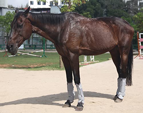 Horse Fly Boots - Fly Horse Boots Perfect for Equine Leg Wraps and Maximum Horse Fly Protection Set of 4 (Grey, Pony)