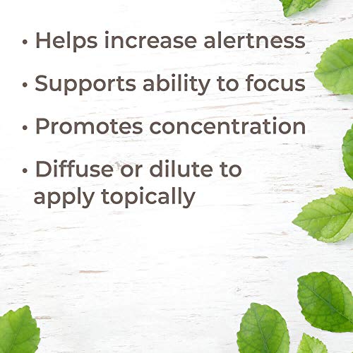 Plant Therapy Invigor Aid Essential Oil Blend 30 mL (1 oz) 100% Pure, Undiluted, Therapeutic Grade
