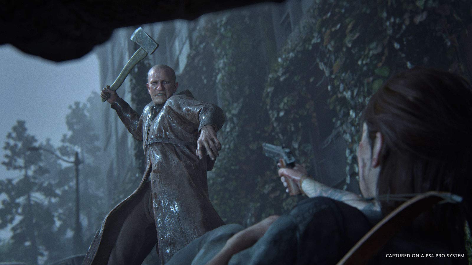 The Last of Us Part II (PS4) (PS4)