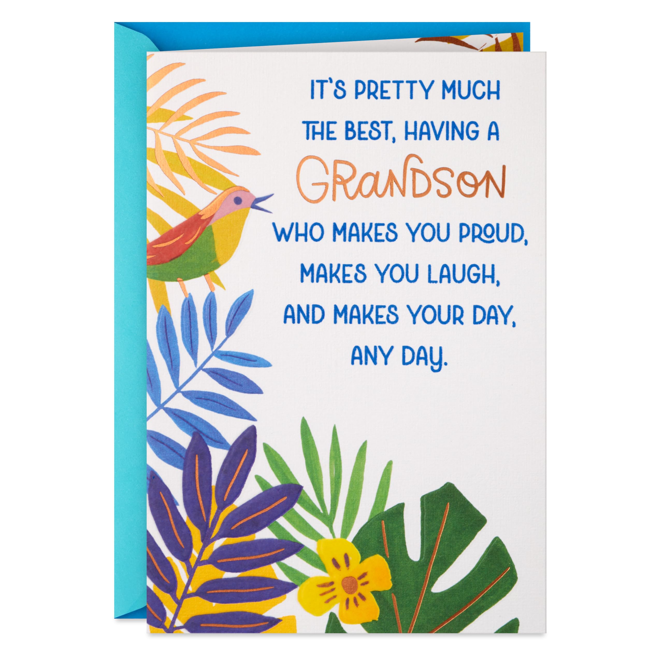 Hallmark Birthday Card for Grandson (Tropical Leaves with Bird)