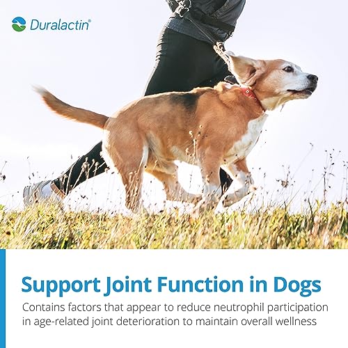 PRN Pharmacal Duralactin Canine Chewable Tablets - Joint Health Supplement for Dogs and Puppies Supports Reduced Inflammation - Vanilla-Flavored Tablets Containing Dried Milk Protein - 180 Canine Chews