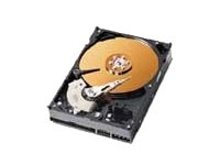 Western Digital Internal 3.5" WD2500BB 250GB 7,200RPM 2MB Buffer IDE OEM Bulk Hard Drive Disk HDD