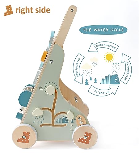 PairPear Wooden Baby Walker Push and Pull Toys,Toddler Speed Adjustable Push Walker Activity Cencer with Shape Sorter Toys Gift for Boys Girls 1 2 3 Years