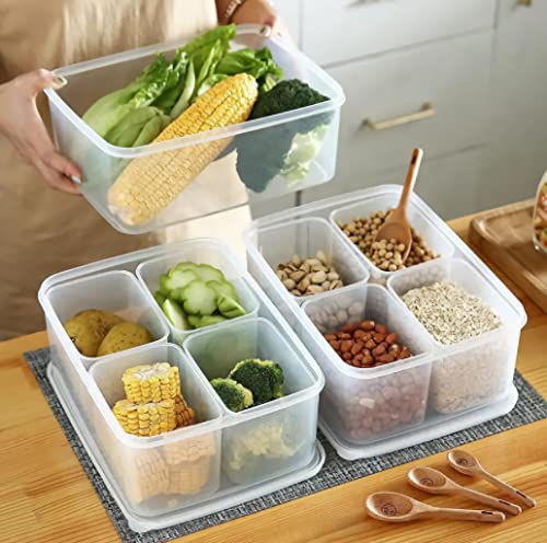KNC Food Storage Containers with Lids Airtight,Reusable Fresh Produce Fruit Storage Organizer, Refrigerator Food Fresh Box with 4 detachable small boxes for Storing Fish, Meat, Vegetables,Grain