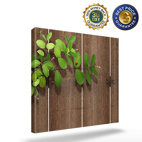 Canvas Wall Art Pictures on Canvas Oil Painting Art with Framed for Home Decorations Green Leaf on Wooden Plank (20'' x 20'' x 1 Panel)
